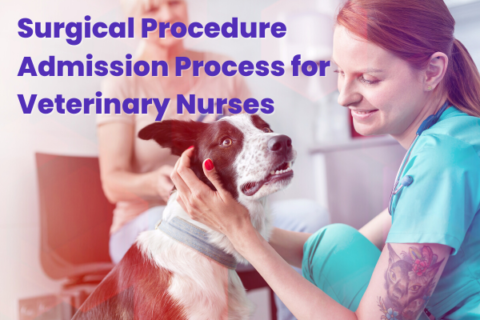 veterinary nurse surgical process Archives - Vetanswers
